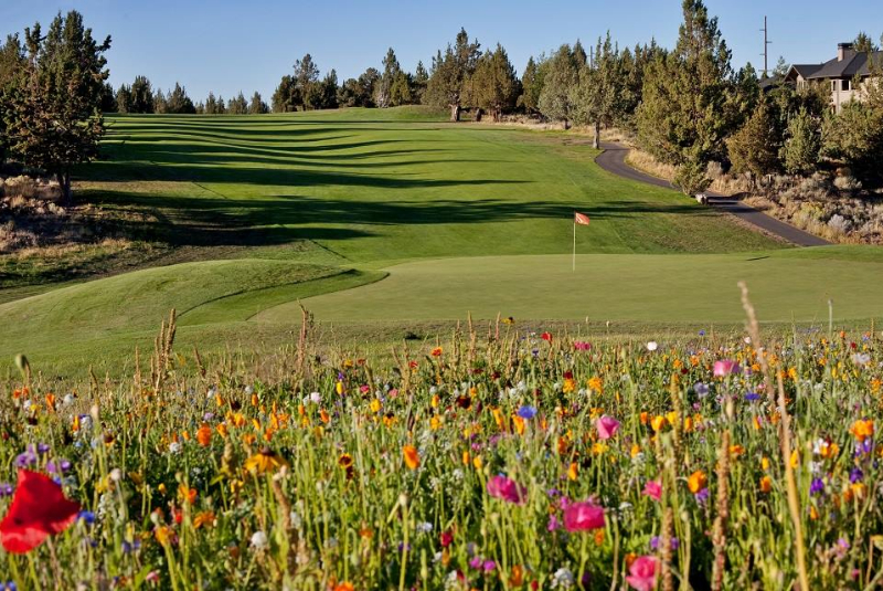 HOME - Eagle Crest Resort